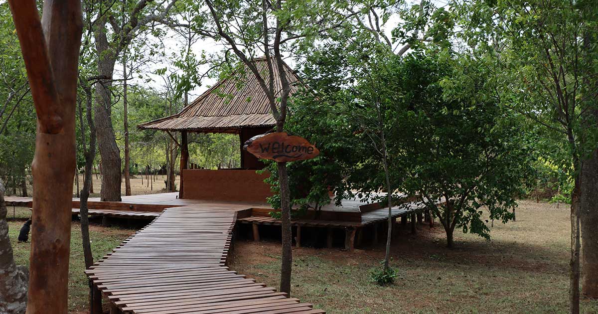 Adhitya Herbal Garden | Adhitya Health Retreat, Sri Lanka